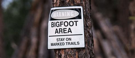 Man Claims To Have Photographed A Bigfoot In Iowa The Daily Caller