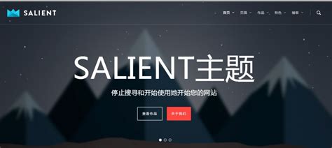 Salient汉化版更新至v8 0 点金主题网