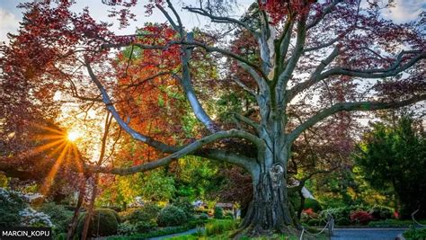 How Can We Save Chernobyl Area Mirla Braga Medium