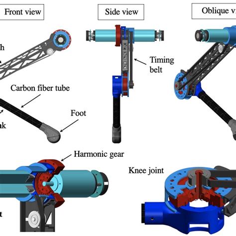 Transition From Quadrupedal Mode To Bipedal Mode The Red Line Is The Download Scientific