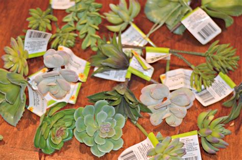 Dollar Store Succulent Wreath Tutorial