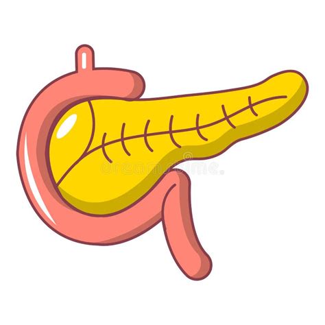 Pancreas Icon Cartoon Style Stock Vector Illustration Of Drawing