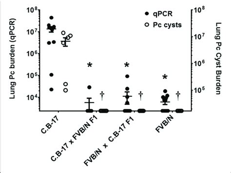 Susceptibility Of Hybrid Mice Generated By Crossing Resistant And