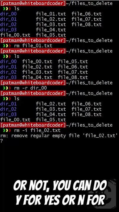Linux Rm Coding Linux Linuxtutorials Linuxcommandlinetutorial Ubuntu Sysadmin Youtube