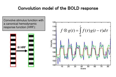 The General Linear Model Glm Ppt Download