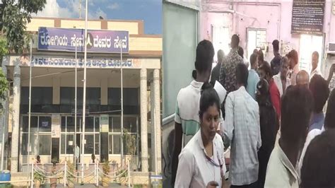 ಕೋಲಾರ ಪಿತೃಪಕ್ಷ ಪೂಜೆ ವೇಳೆ ಹೆಜ್ಜೇನು ದಾಳಿ ಓರ್ವ ವ್ಯಕ್ತಿ ಸಾವು Bee