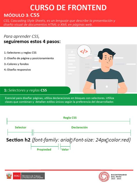 Infografia N° 03 Css Pdf