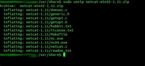 nc exe netcat netcat attack cases targeting ms sql servers lolbins