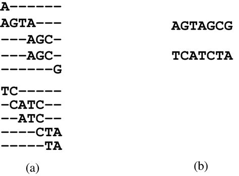 2 The Snp Matrix And Haplotypes A The Snp Matrix B The Haplotypes