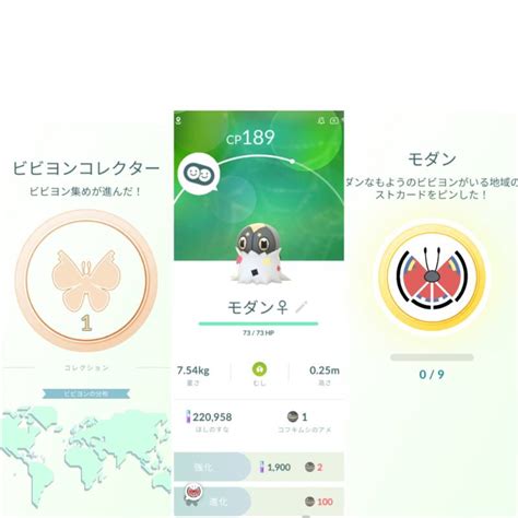 専用 色違い ホリデーハットイーブイ、コマタナ、カチコール、ウインターピカチュウ、ガラルカモネギなど｜ポケモンgo｜ゲームクラブ