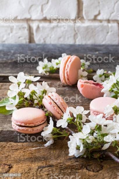 초콜릿 Ganache 카라멜 라즈베리와 핑크 Macarons 소박한 배경에 꽃 분기 합니다 프랑스 섬세 한 디저트입니다 라즈베리