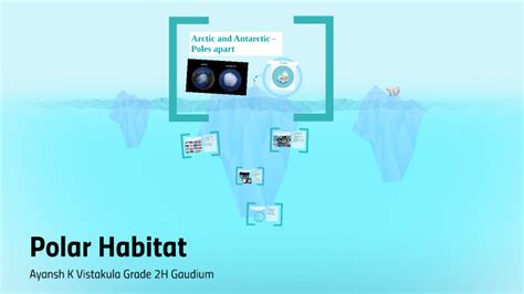 Polar Habitat Ayansh Kiran 2b By Srujana Kalidindi On Prezi