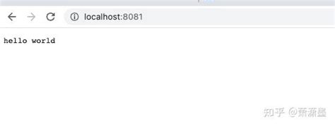golang gin框架结合websocket实现 bash shell tcp反弹shell 知乎