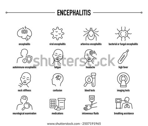 Encephalitis Symptoms Diagnostic Treatment Vector Icons Stock Vector