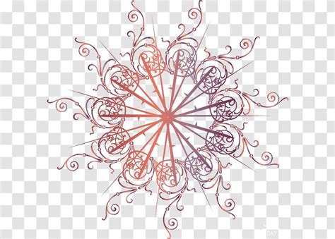 Star Light Floral Design Area Transparent Png