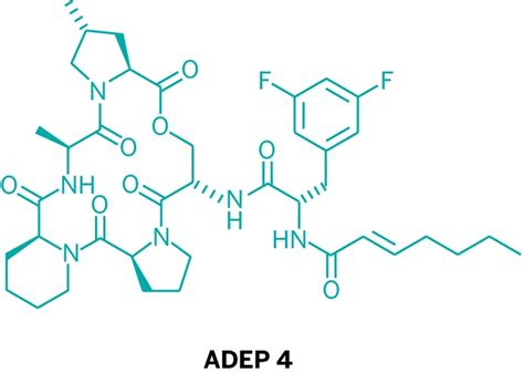 Punching Out Persistent Pathogens