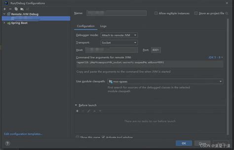 Java应用开启远程debugjdk11 远程debug Csdn博客