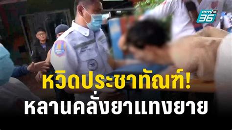 หวิดประชาทัณฑ์ หลานคลั่งยาแทงยายเสียชีวิต โชว์ข่าวเช้านี้ 14 มิ ย 66 Pptvhd36