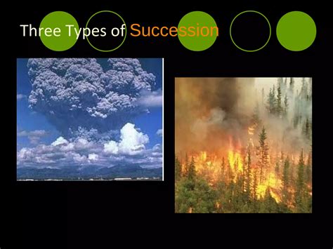 Interactions Within Ecosystems Ppt