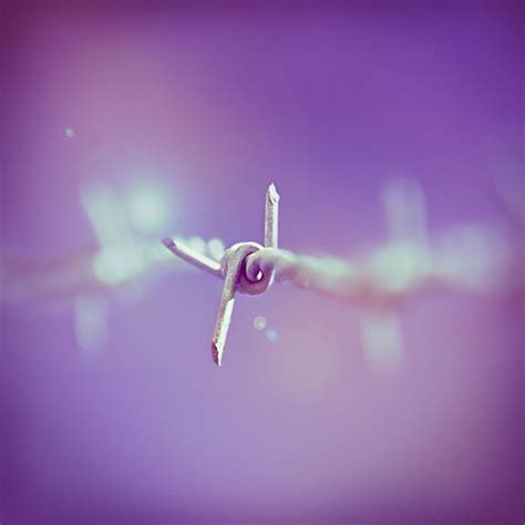 How To Create A Vignette Effect In Photoshop 4 Easy Ways Free