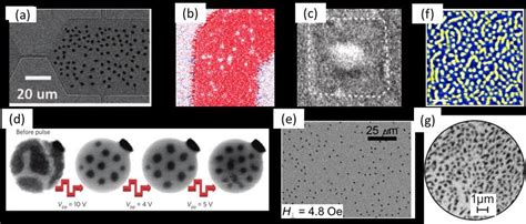 Observation Of Magnetic Skyrmions At Room Temperature A The Download Scientific Diagram