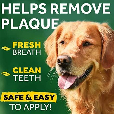 Is Fresh Breath For Dogs Safe