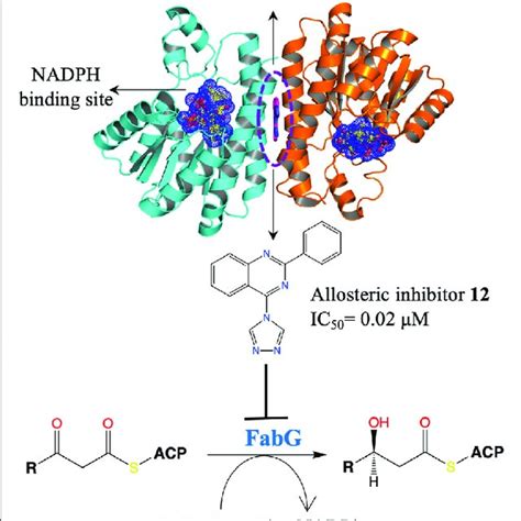 Fragment Based Drug Discovery FBDD The Various Biochemical
