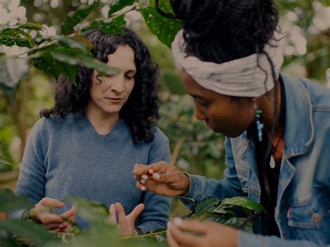 El Tiempo Que Nos Queda Una Invitación A Proteger Nuestra Naturaleza