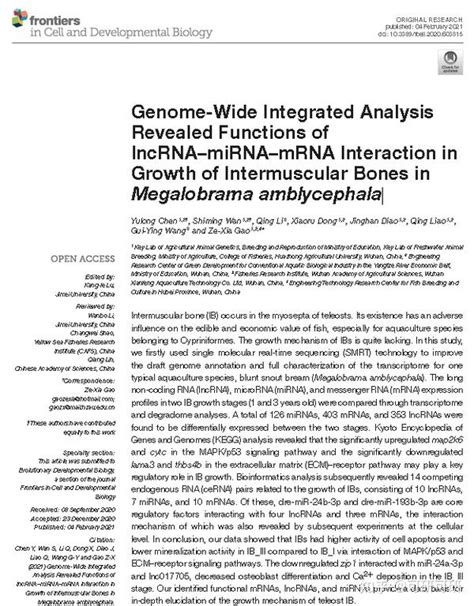 可研生物文献精读全基因组整合分析揭示了lncRNA miRNA mRNA相互作用在肌间骨生长中的作用 知乎