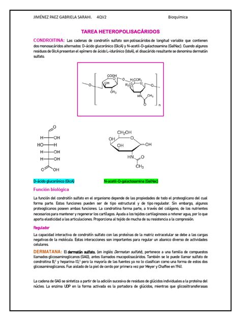 Tarea Heteropolisacáridos Jiménez Paez Gabriela Sarahi 4qv2 Pdf