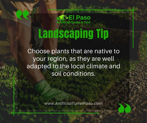 El Paso Artificial Grass And Turf El Paso Tx