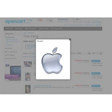 Opencart Html Popup