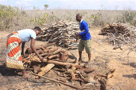 Kilifi The Relief Food County Jumuiya News