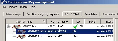 Using XCA To Configure The OpenVPN PKI Part As An Alternative To OpenVPN S Easy Rsa