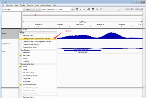 Chip Seqdap Seqatac Seqcutandtag结果可视化 Igv使用攻略cuttag测序gain和loss Csdn博客