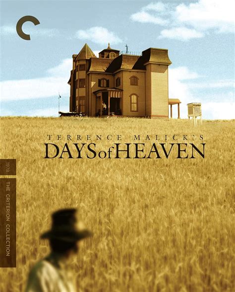 Criterion Collection Days Of Heaven Blu Ray 1978 US Import Amazon Co