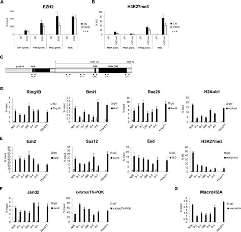 Pcg Core Components And The Associated Histone Marks Are Enriched At