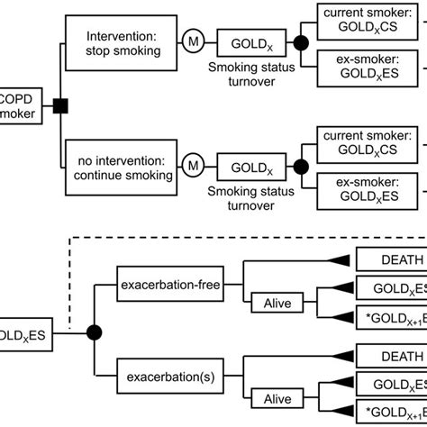 Treeage Markov Cycle Tree For The Qbm Download Scientific Diagram
