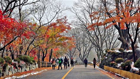 서울 나들이 추천 남산공원 산책로 서울 성곽길 남산 둘레길 데이트 코스 네이버 블로그