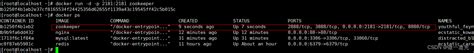 第四章 Docker 使用示例 docker应用例子 CSDN博客