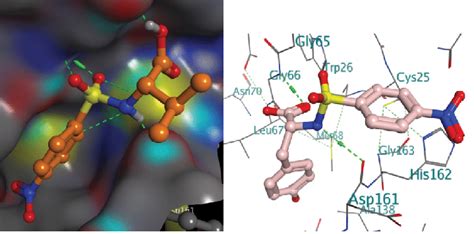 The Binding Mode Of Compound A In The Binding Cavity Of EXQ Download Scientific Diagram