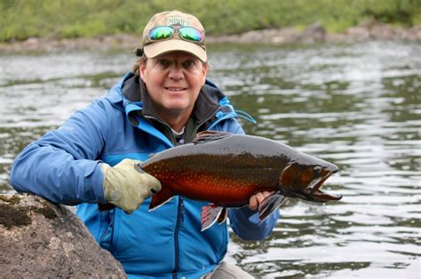 Brook Trout Minipi Lodges