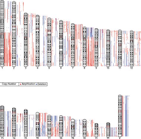 Genomic Copy Number Alterations In Primary Breast Carcinomas Were
