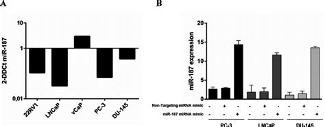 mirna expression profile in pca cell lines and mir 187 re introduction