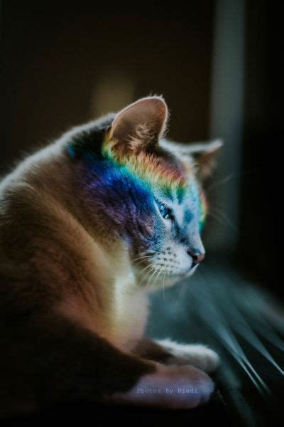 Post 755917122685763584 Mexican Coke Tumbex