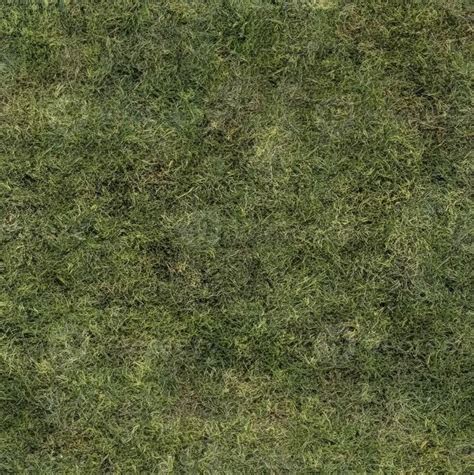 High Quality Seamless Grass Texture Map For Versatile Material Creation