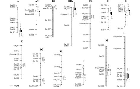 Linkage Group Map Summarizing Qtl Locations Detected For All Different