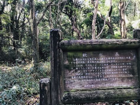【立田山】標高151m！幼児でも登れる！登山初心者にピッタリの山！《熊本市北区》 さるクマ さるこう、熊本