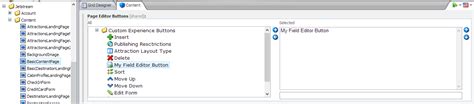 Kirkegaard Custom Experience Buttons Enhancing The Page Editor