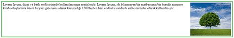 Css Float Ve Clear Özelliği Kullanımı